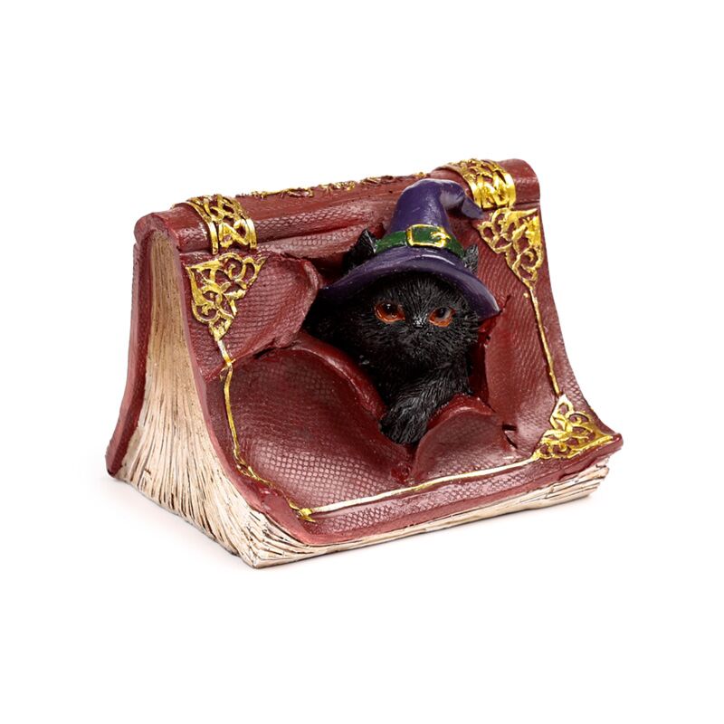 Witches Black Cat Mischievous Spell Book