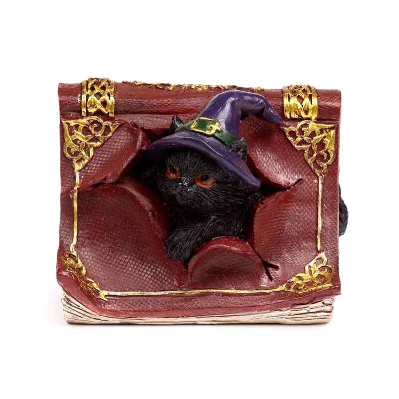 Witches Black Cat Mischievous Spell Book