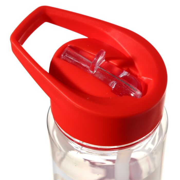 550ml Water Bottle Welsh Dragon Wales (Cymru) Souvenir