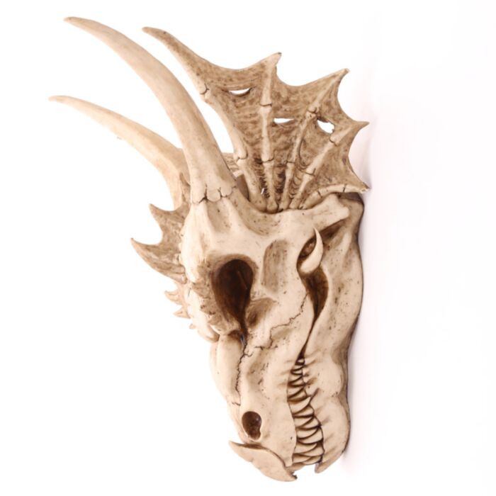 Large Dragon Skull Decoration